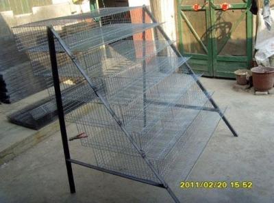 China Quail Cages for Sale in Philippines for sale