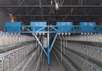 China Automatic Poultry Farming Equipment System for Chicken for sale
