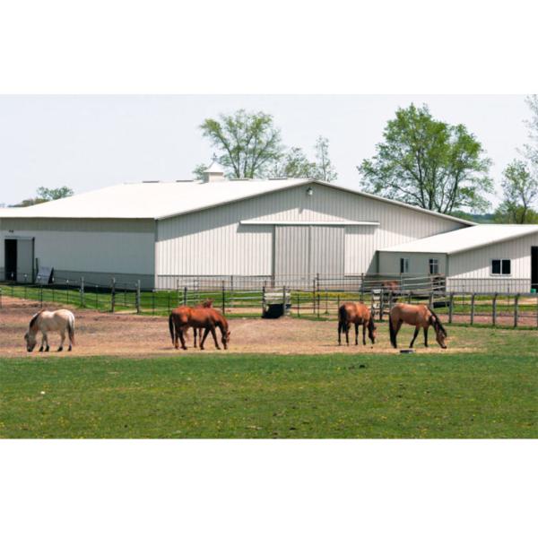 Quality Modern Design Steel Structure Stable for Horses for sale