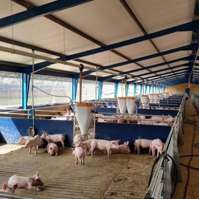 China Durable Factory Industrial Design Prefabricated Steel Farmhouse for Sheep Pigs Cow Poultry Cow Poultry Farmhouse for sale