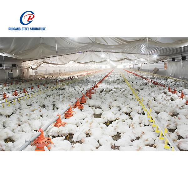 Quality Metal Frame Chicken House Steel Structure Farm Shed Prefabricated Building for Poultry Farm for sale