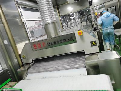 中国 巨大な容量ODMのトンネルの液体窒素急速冷凍装置 販売のため
