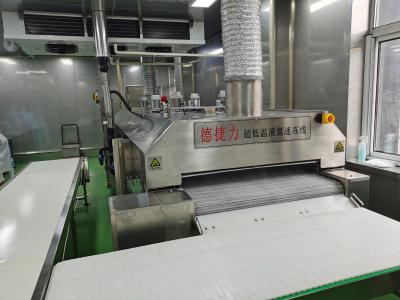 Cina attrezzatura enorme di surgelamento dell'azoto liquido del tunnel del ODM di capacità in vendita