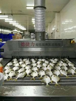 China Congelador industrial negativo 70kw 800kg/H de Adeep da temperatura ultra baixa de congelador de explosão 86c à venda