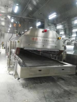 China DJL Dry Ice Liquid Nitrogen Dual Use Type Iqf Freezer Machine For Shrimp for sale