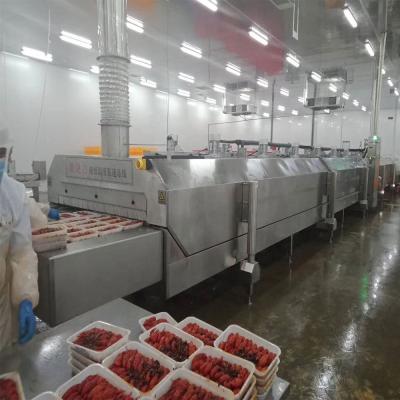 China Congelador super 2800KG/H 3500KG/H da baixa temperatura de nitrogênio líquido do N2 à venda
