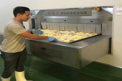 中国 フルーツ野菜のiqfのショウガの肉iqf機械のための液体窒素のトンネルの送風フリーザー 販売のため