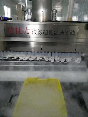 Cina Cinghia ultrabassa 1800KG/H 2100KG/H del congelatore del tunnel dell'azoto liquido del laboratorio meno 120C in vendita