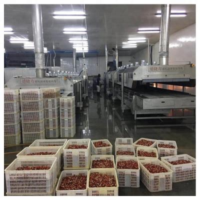 Cina 400KGS/H Mesh Belt Tunnel Freezer in vendita