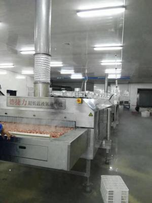Cina 400KGS/H Mesh Belt Tunnel Freezer in vendita