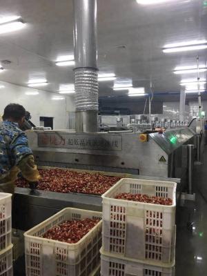 Cina 400KGS/H Mesh Belt Tunnel Freezer in vendita
