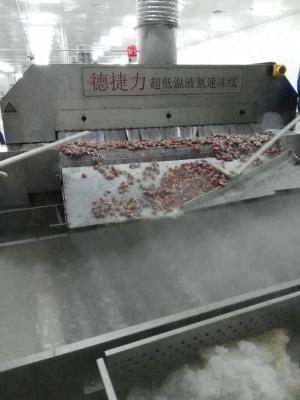 Cina 400KGS/H Mesh Belt Tunnel Freezer in vendita