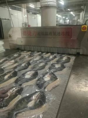 Cina dell'azoto 18kw del tunnel surgelatore 2500kg/Hour 2200kg/H ultra in vendita