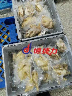 Cina 800KG/H Mesh Belt Tunnel Freezer in vendita