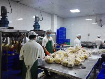 Cina 800KG/H Mesh Belt Tunnel Freezer in vendita