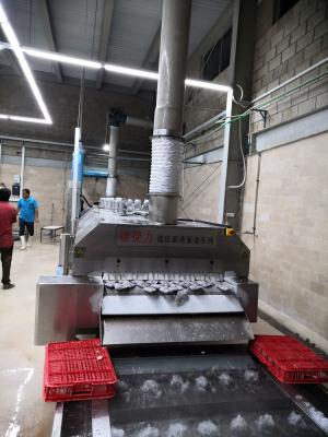 中国 産業網ベルトのトンネルのフリーザー1000kgs/Hour 800kgs/Hourの永遠に続く送風スリラーIqf 販売のため
