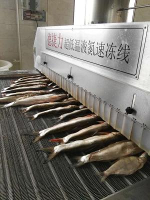 中国 産業網ベルトのトンネルのフリーザー1000kgs/Hour 800kgs/Hourの永遠に続く送風スリラーIqf 販売のため