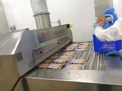Cina Nastro trasportatore refrigeratore eterno di scoppio del tunnel di scoppio di 15 chilowatt per l'OEM di Takifugu Niphoble in vendita