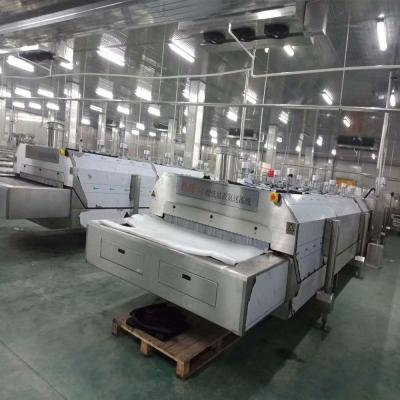 China Congelador ultra baixo Meatfish 22kw da caixa do congelador da caixa da C.C. do SUS 304 do túnel da explosão de Iqf à venda