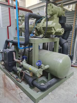 Cina Singolo congelatore a spirale della cinghia di Iqf meno 40c 1200kg/H 48 chilowatt per carne in vendita