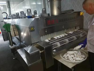 China Negatieve van de de Vloeibare Stikstoftunnel van 120c de Diepvriezer Commerciële Ontploffing Koelere 2000kg/H 2500kg/H Te koop