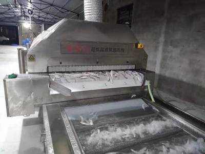 Cina OEM di congelatore di Mesh Belt Tunnel Freezer 2200kg/H 2800kg/H LN2 in vendita
