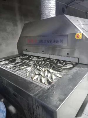 Cina OEM di congelatore di Mesh Belt Tunnel Freezer 2200kg/H 2800kg/H LN2 in vendita