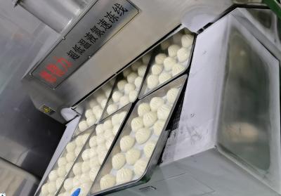 China Máquina de congelação rápida 200k do congelador 10kw do túnel do choque do menos 150 C à venda