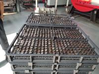 China Subzero Cryogenic Tunnel Freezer Metal Processing Deep Undercounter Ultra Low Freezer OEM for sale