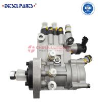 China Fuel Injection Pump 504 189 447 VE Distributor Pump for Diesel Engines 12V for sale