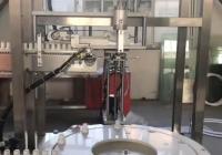 China Hair Care Products Single Head Capping Machine Detergent for sale