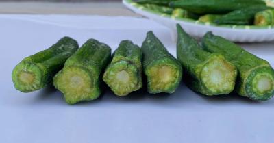 Cina Vuoto organico fresco e naturale Fried Okra di bassa temperatura degli spuntini delle verdure secche in vendita