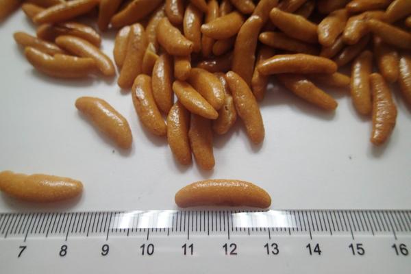Kakinotaneのarareの米のクラッカーの卸し売りシャキッとした小さい元の米のクラッカーの軽食
