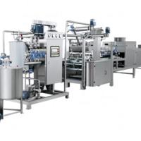 Quality 500kgs Candy Filling Machinery Production Line for Professional Gummy Candy for sale