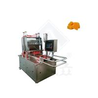 China Depositing Machinery Function 500kgs Cheese Mango Soft Candy Maker Gummy Candy Making Machine for sale
