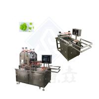 China Depositing Machinery Function 500kgs Cheese Mango Soft Candy Maker Gummy Candy Making Machine for sale