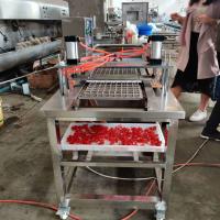 China 500KG CE Approved Automatic Gummies Candy Production Machine for Candy Application for sale