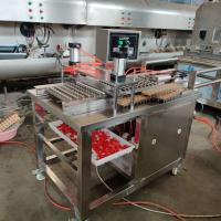 China CE Retail Vending Automatic Gummies Candy Production Machine with Deposing Function for sale