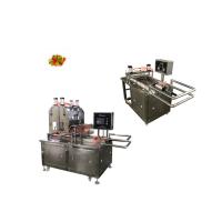 China Assorted Double Colors Soft Jelly Candy Making Machine Gummy Candy Depositing Machine for sale