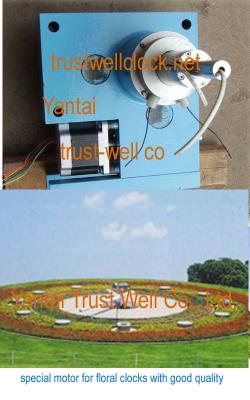 China Outdoor Floral Flower Clock Motor Mechanism with Stepper Motor High Torque for sale