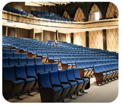 Cina Durezza pieghevole di Hall Chairs Anti Electrostatic Medium del cinema di 2 Seater in vendita