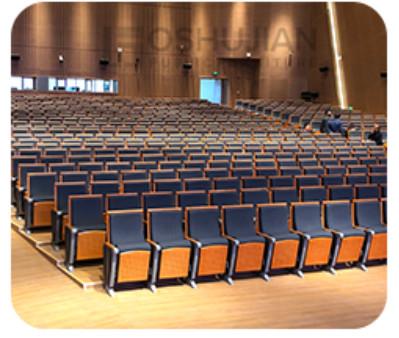 Cina Durezza pieghevole di Hall Chairs Anti Electrostatic Medium del cinema di 2 Seater in vendita