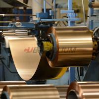 Cina I BECU uniscono in lega C17200 il carattere TB00 della striscia 0.2x150mm per EMI Shielding in vendita