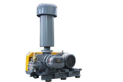 China AIRUS Blower Longtech Trundean Grey color Roots Blower Three Lobe rotary Blower for sale
