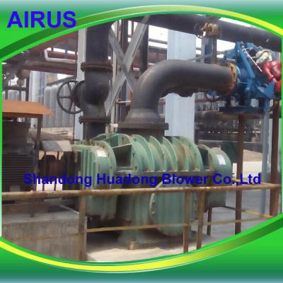 China AIRUS Blower Gas Blowers Roots type Blower for Natural Gas Biogas Co2 for sale