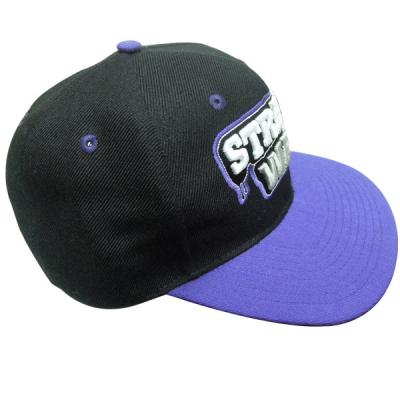 China 3D Embroidered Snapback Baseball Caps Hat for Fashion Clothing for sale