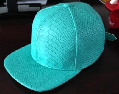 China Blue Snapback Ladies Baseball Caps Leather Strap For Skateboard for sale