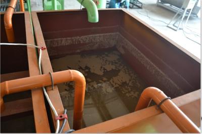China 350-2500pcs/h egg tray producing  machine for sale