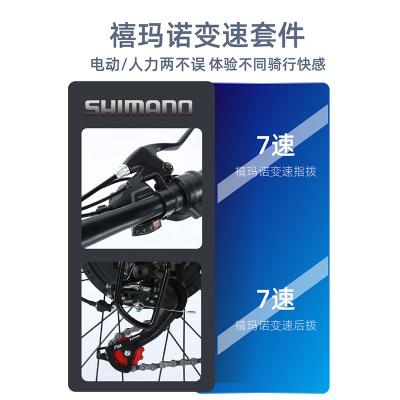 Cina Elettronica Nuova bicicletta elettrica mountain bike adulto retro off-road velocità variabile amplificatore bicicletta elettrica in vendita