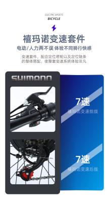 Cina Elettronica Nuova bicicletta elettrica mountain bike adulto retro off-road velocità variabile amplificatore bicicletta elettrica in vendita